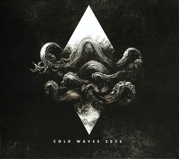VA - Cold Waves 2025 (2025) » Dark Scene Music