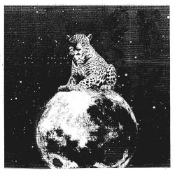 Scary Bitches | Discography » Dark Scene Music